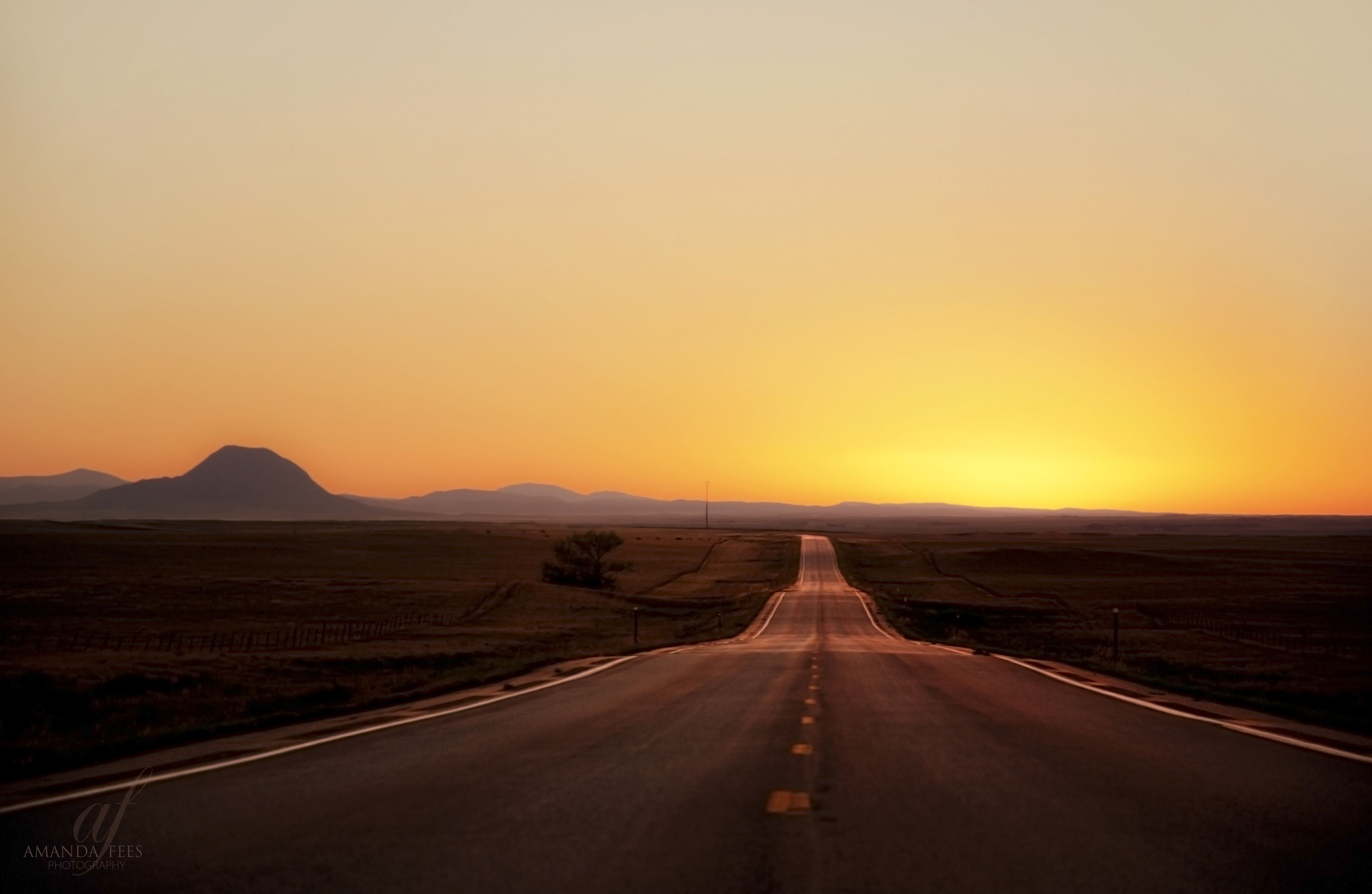 Michelle Chenoweth - eXp REALTY Black Hills SoDakota | Crexi