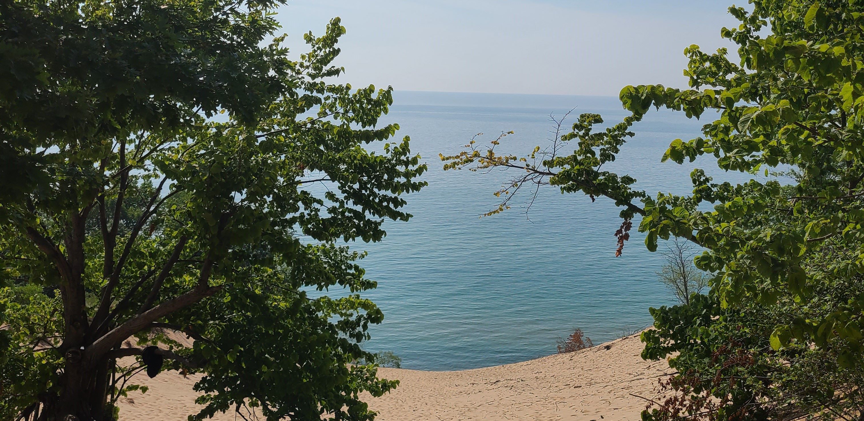 james rice - MECA Commercial Real Estate | Crexi