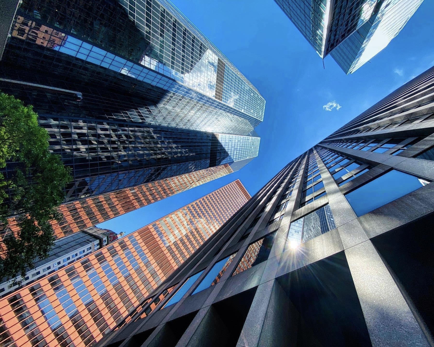 Michelle Senko - RE/MAX Select Realty | Crexi