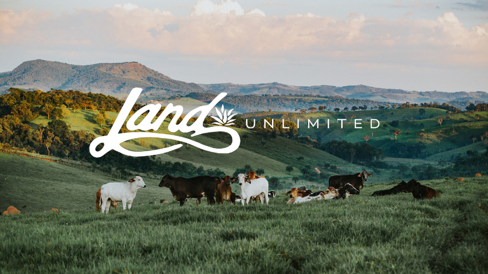 Kaylee Sutton - Land Unlimited | Crexi