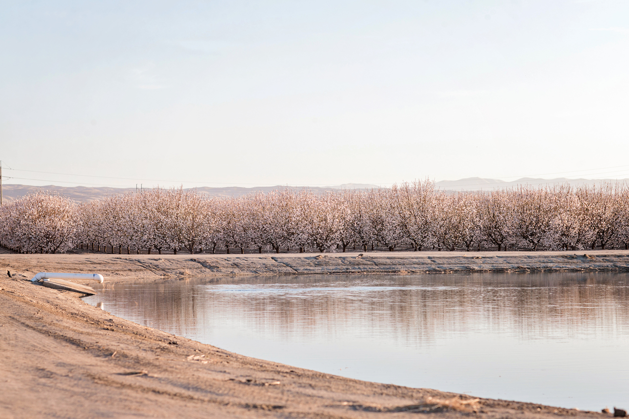 Stephanie Frausto - Tech Ag Financial Group, Inc | Crexi