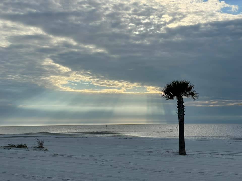 Amy Olsen - Owen & Co LLC Real Estate | Crexi