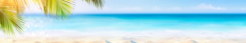 Mohammad Noorzay - Berkshire Hathaway HomeServices | Crexi